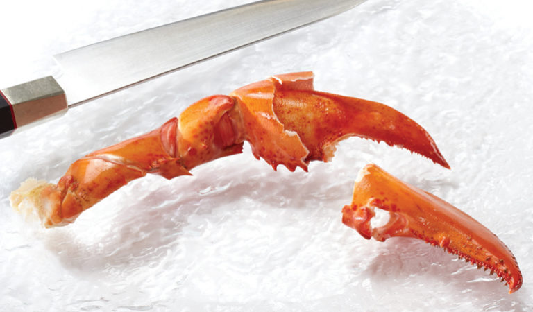 North Atlantic Lobster Claws-CA - Aqua Star